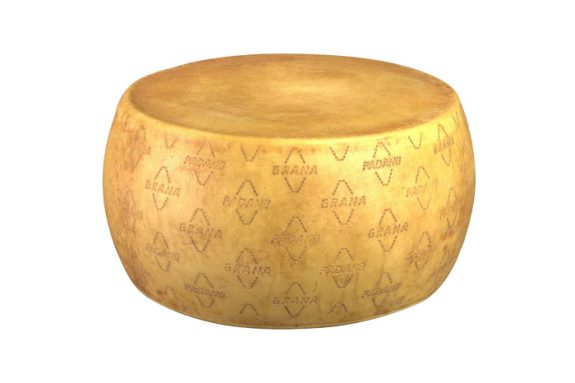 Apolo Foods – Experiencia y Calidad en tu paladar…